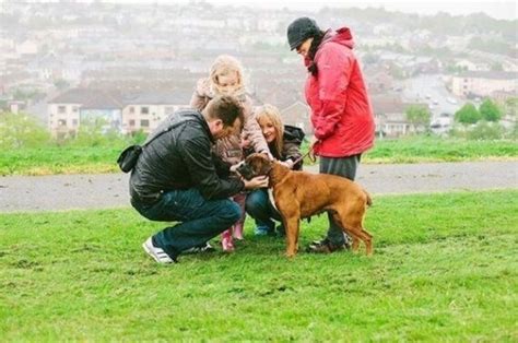 Спасение брошенной собаки 7 фото