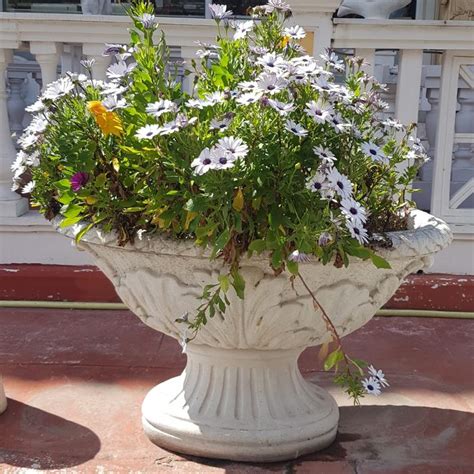 Αγρογιάννης Κολωνάκια τσιμέντου Ανατολική Αττική σε Γέρακας Φωτογραφίες Γύψινες