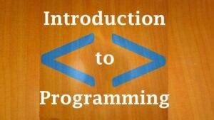 Introduction To Programming Fast Forward Bizanosa