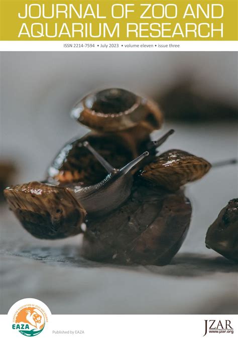 Vicky Melfi On Linkedin Check Out The New Jzar Issue