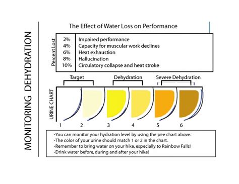 Hydration Chartpdf