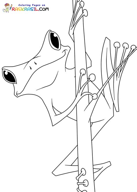 Dibujos De Ranas Para Colorear