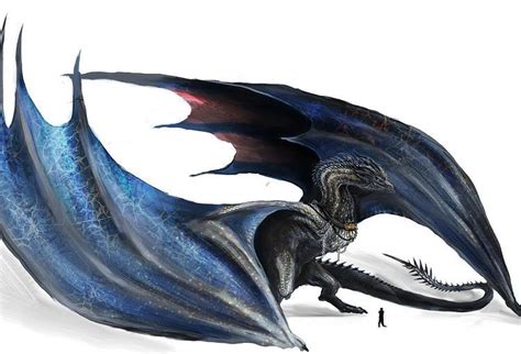 Pin Von Reximus Decimus Meridius Auf Dance Of Dragons Drachen Got