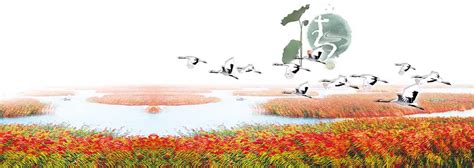 动漫卡通白鹤背景bannerpng图片素材下载图片编号ydogoexg 免抠素材网