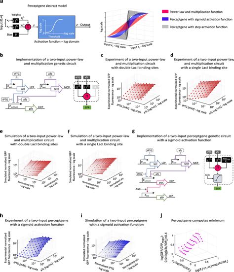 Neuromorphic Electronics Into Bacterial Cells Mapping Ignorance