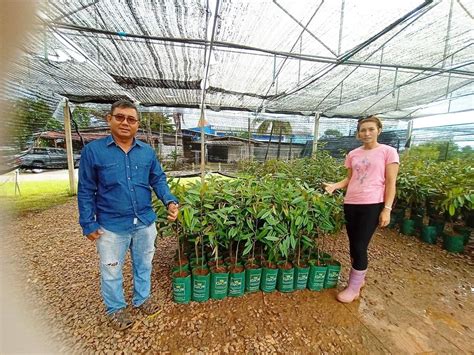 Goldenkingplant ขอบคุณคุณสาทก คำสัตย์