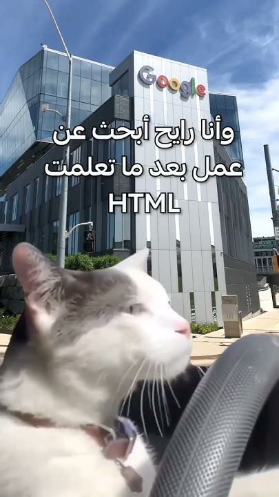 😂😂 مبرمجين مبرمج برمجة Coding Porgram تطوير Code مهندسبرمجيات