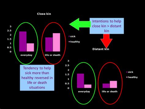 Altruism And Aggression Flashcards Quizlet