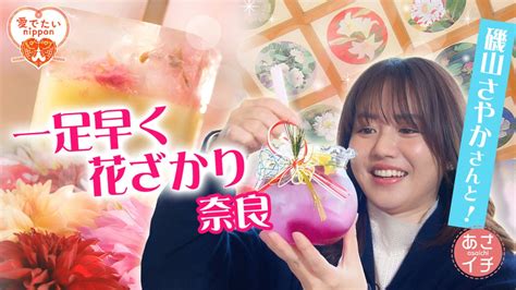 愛めでたいnippon 奈良 あさイチ Nhk