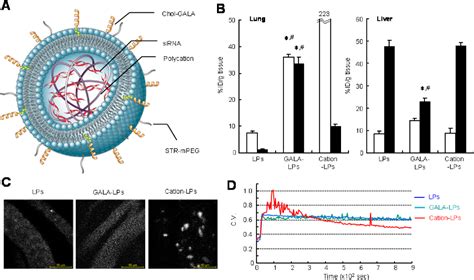 Figure From Lipid Envelope Type Nanoparticle Incorporating A Multifunctional Peptide For