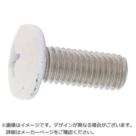 Sunco 頭部ホワイトステン（＋）バインド小 8×18 （10本入） 00 02 0004 0080x0180 A0 10 サンコー