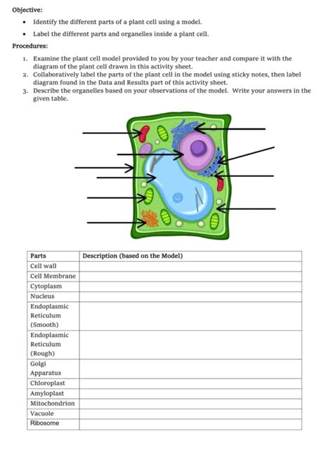 Objective Identify The Different Parts Of A Studyx
