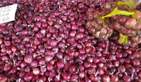 DA Sets SRP of Imported Onions to ₱125 per Kilo - Negosyante News