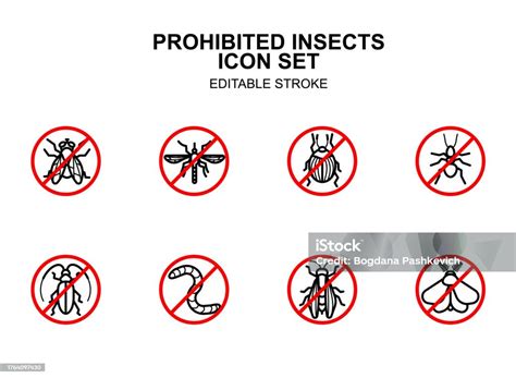안티 곤충 벡터 라인 아이콘 세트입니다 편집 가능한 획 내부에 곤충이 있는 빨간색 금지 표시 파리 모기 벌레 개미 바퀴벌레 벌레