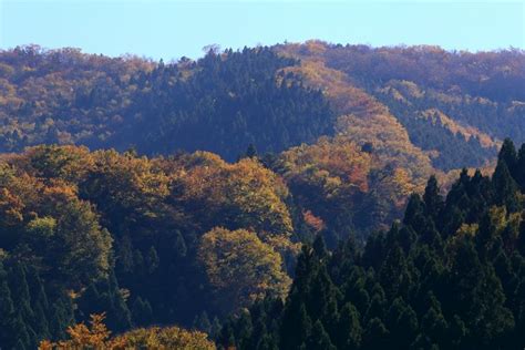 隠れた紅葉スポット ナメゴ谷わくわく絶景写真旅わくたび 紅葉 スポット 絶景 紅葉