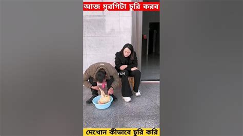 মরগী চুরি দেখোন Shortvideo Facts Amazingfacts Youtube