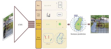 Yolo Core Contour Regression For Efficient Instance Segmentation