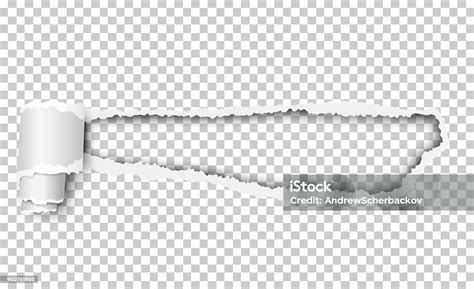 벡터는 부드러운 그림자와 컬 종이의 투명 한 체크 무늬 시트를 찢 어 서식 파일 종이 디자인 0명에 대한 스톡 벡터 아트 및 기타 이미지 Istock