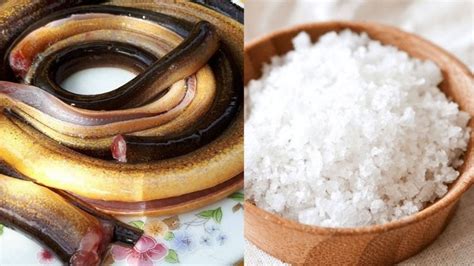 Lươn Kho Sả ớt Cay Nồng Hấp Dẫn Cho Ngày Se Lạnh