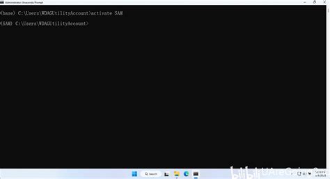 SAM 模型的下载安装使用官方用例以及中文 notebook 哔哩哔哩