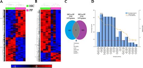 Whole Genome Microarray Analysis Demonstrates The Existence Of
