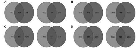 Figure 1 From Disruption Of Mapk1 Expression In The Erk Signalling