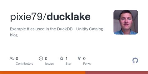 github pixie79 ducklake example files used in the duckdb unitity