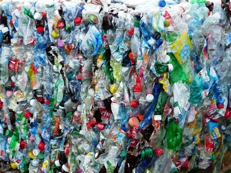 Brasil Recicla 311 Mil Toneladas De Garrafas PET Em 2019 CicloVivo