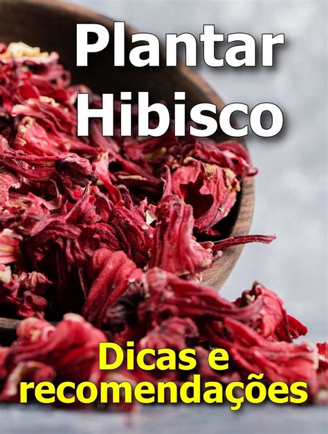 Como Plantar Hibisco Guia Simples Para Cultivar A Flor