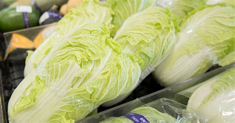 11月から安くなる「高値だった野菜」とは？「家計の救世主」となるお買い得な野菜がこれだ ハフポスト日本版