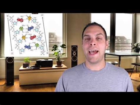 Dna Replication Youtube