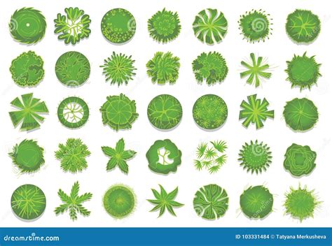 Various Green Trees Bushes And Shrubs Top View For Landscape Design