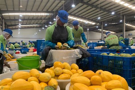 សន្ទុះនៃទំហំពាណិជ្ជកម្មទ្វេភាគីរវាងកម្ពុជា ចិន មានការថយចុះជាងឆ្នាំមុន ដោយសារតែវិបត្តិជំងឺកូវីដ