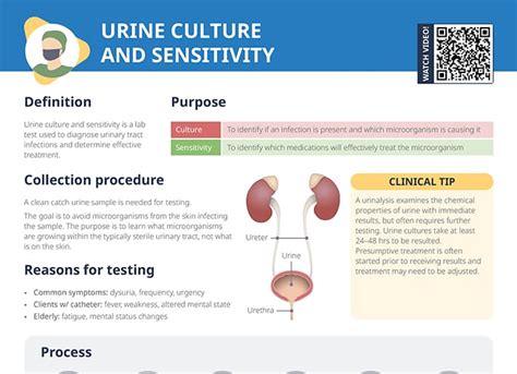 Urine Culture And Sensitivity Free Cheat Sheet Lecturio
