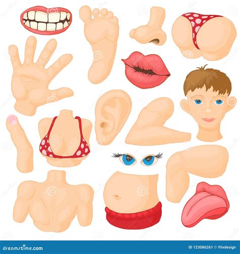 Human Body Parts Icons Set Stock Illustration Illustration Of Isolated