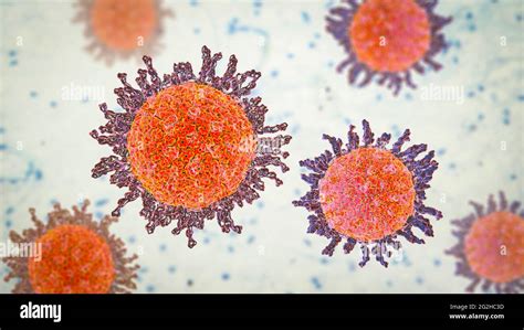Herpes Simplex Virus 1 Banque De Photographies Et Dimages à Haute
