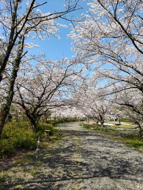 私がamu Workerになった理由〜村尾編〜 はたらく人の声 Amu Journal Amu Work｜海士町複業協同組合