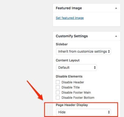 Disable The Titlebar On Post Or Page PressMaximum