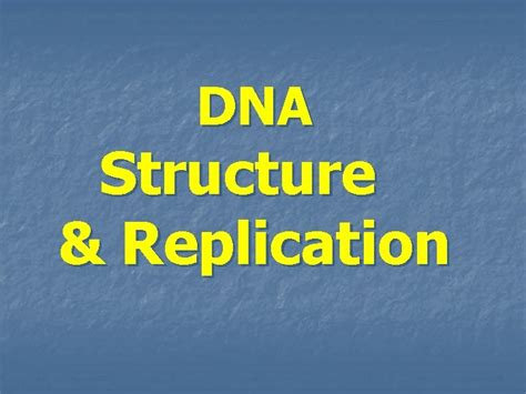 DNA Structure Replication Overview DNA Structure Structure Of