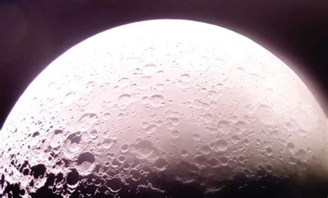 Blue Ghost Successfully Reaches Lunar Orbit—next Stop Mare Crisium