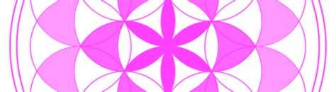 Quantumlove Of One Quantum Love And Oneness Beyond Boundaries