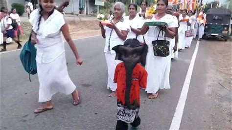 නව ලග්ගල පල්ලේගම හතරවෙනි පෙරහැර Youtube