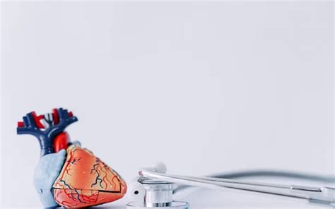 The Potential Of Ubiquinol Ejection Fraction For Heart Health Opa