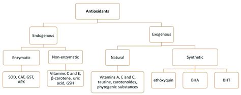 Endogenous And Exogenous Antioxidants Sod Superoxide Dismutase Cat