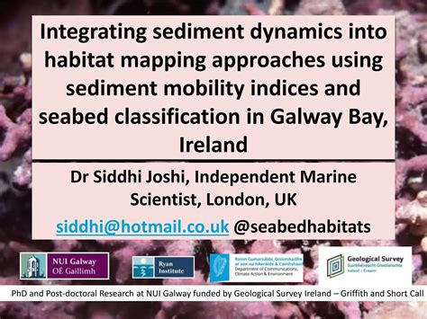 Integrating Sediment Dynamics Into Habitat Mapping Approaches Using Sediment Mobility Indices