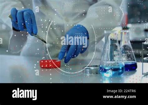 Animation Of Scientific Data Processing Over Female Scientist In Laboratory Global Science