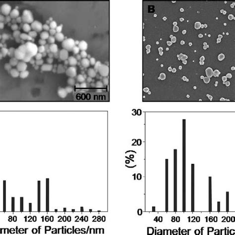 Sem Images And Histograms Of The Size Distribution Of The Silver Nps