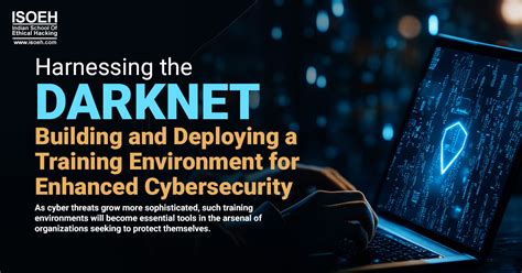 harnessing the darknet building and deploying a training environment