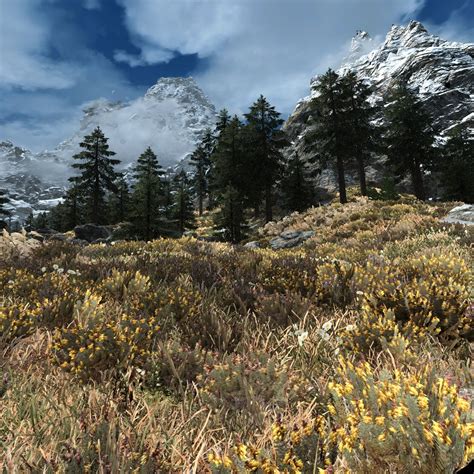 Community Shader Grass Lighting Showcase Rskyrimvr