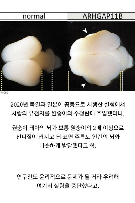 인류에 파장을 몰고 올 실험결과 ㄷㄷ 포스트쉐어